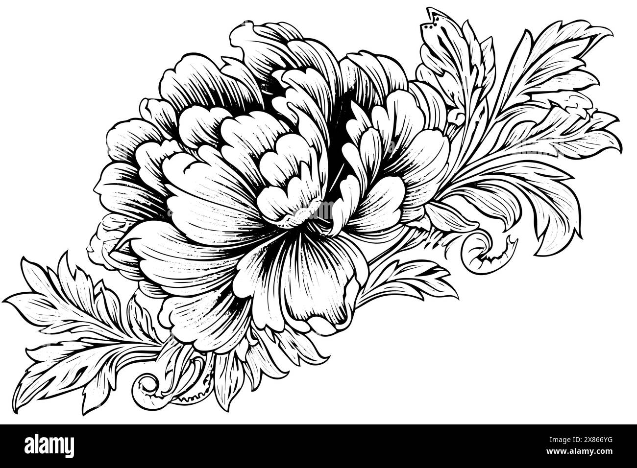 Vintage Floral Vector Collection: Hand-Drawn Roses, Baroque Ornaments ...