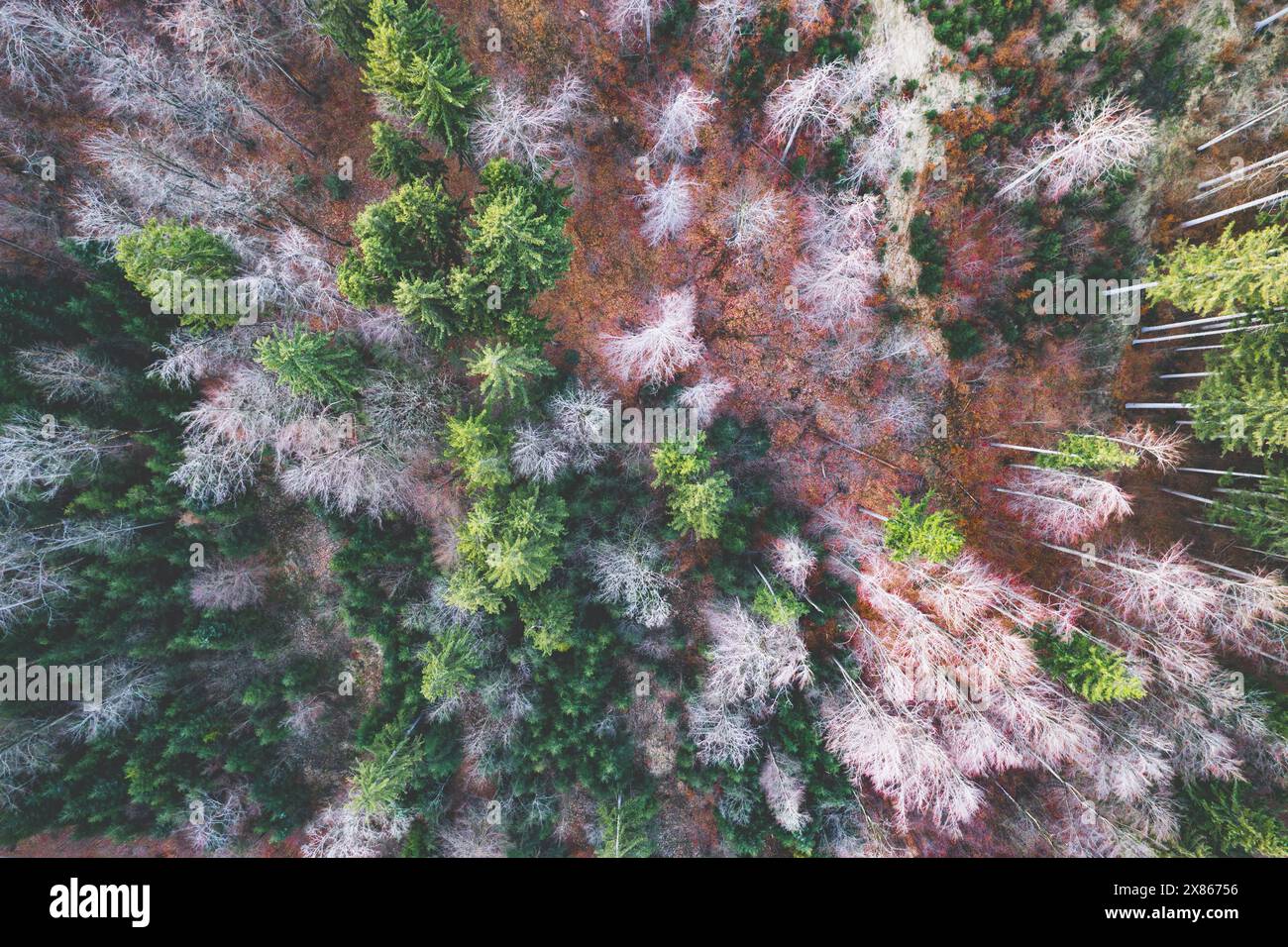 Eye path forecast hi-res stock photography and images - Alamy