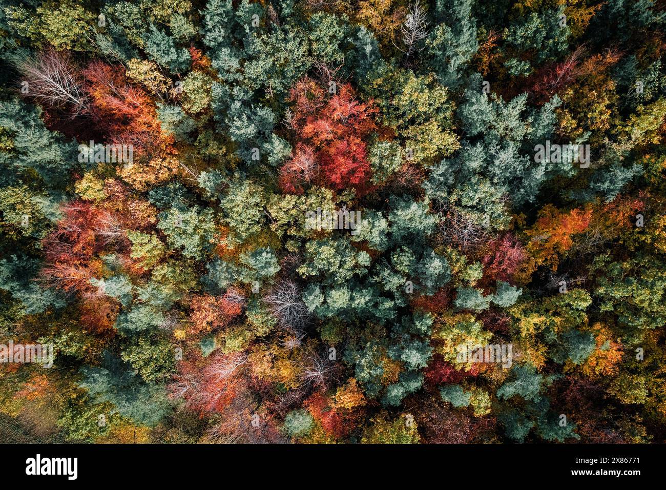 Eye path forecast hi-res stock photography and images - Alamy