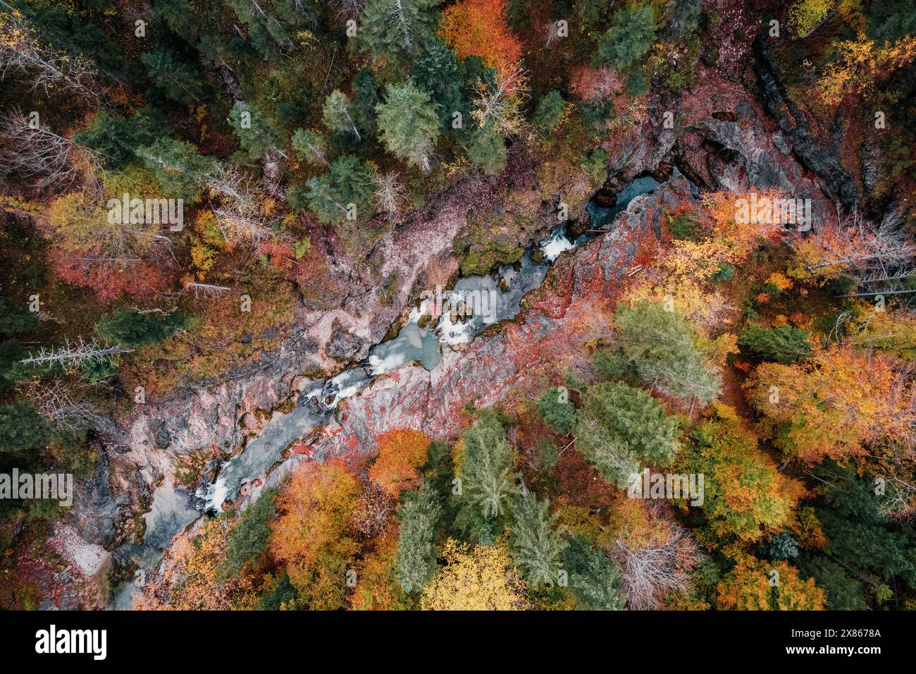 Eye path forecast hi-res stock photography and images - Alamy