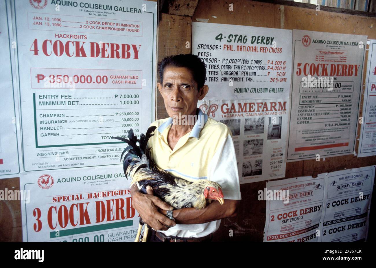 Philippines, Davao; man holding his rooster that will fight in an ...