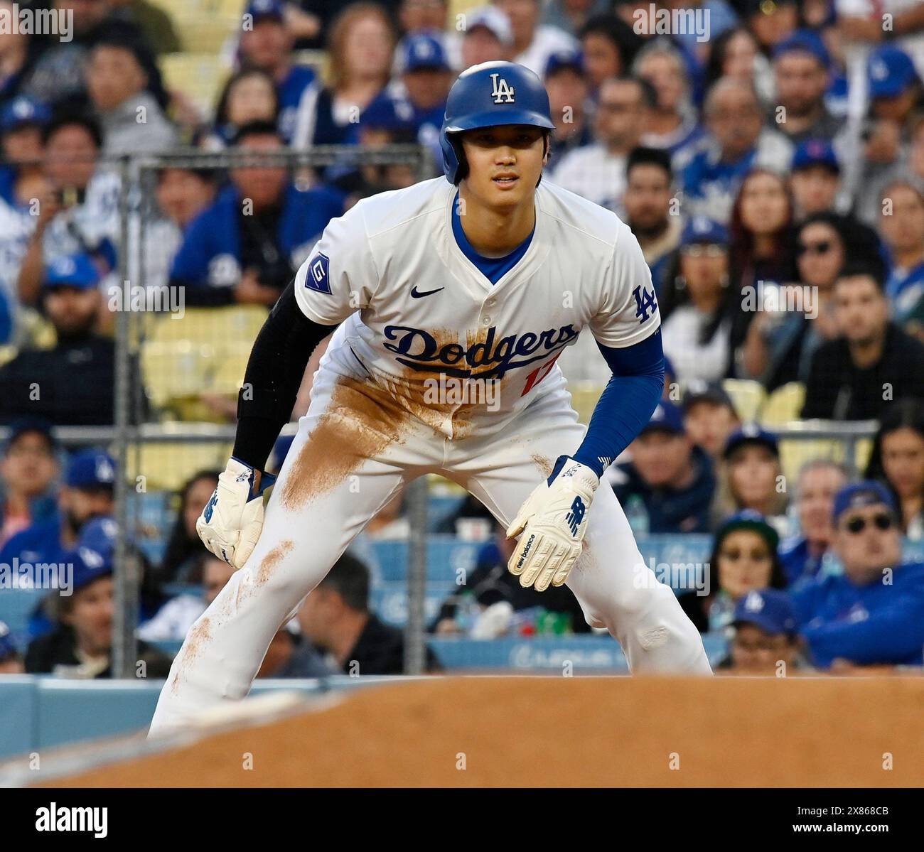 Los Angeles, United States. 22nd May, 2024. Los Angeles Dodgers DH ...