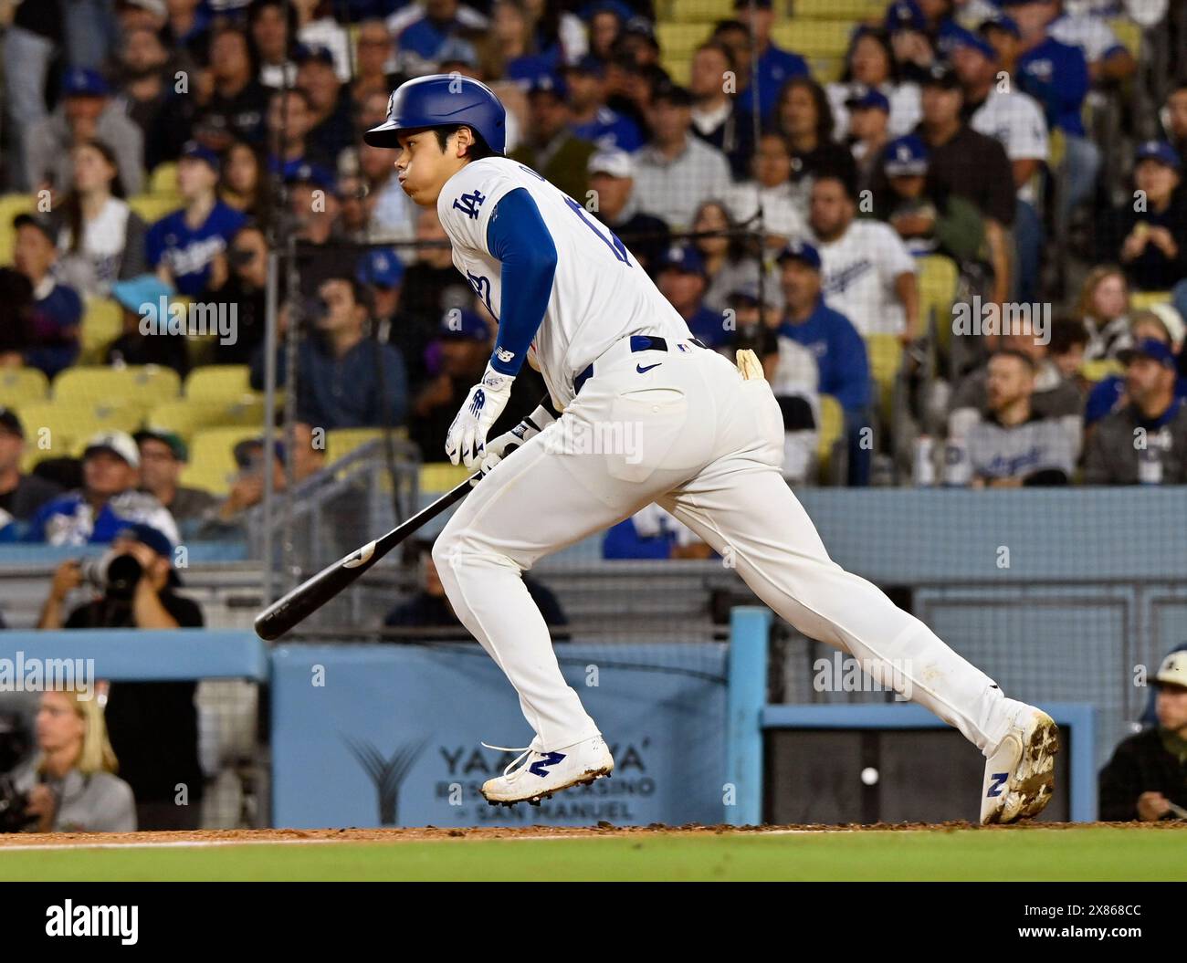 Los Angeles, United States. 22nd May, 2024. Los Angeles Dodgers DH ...