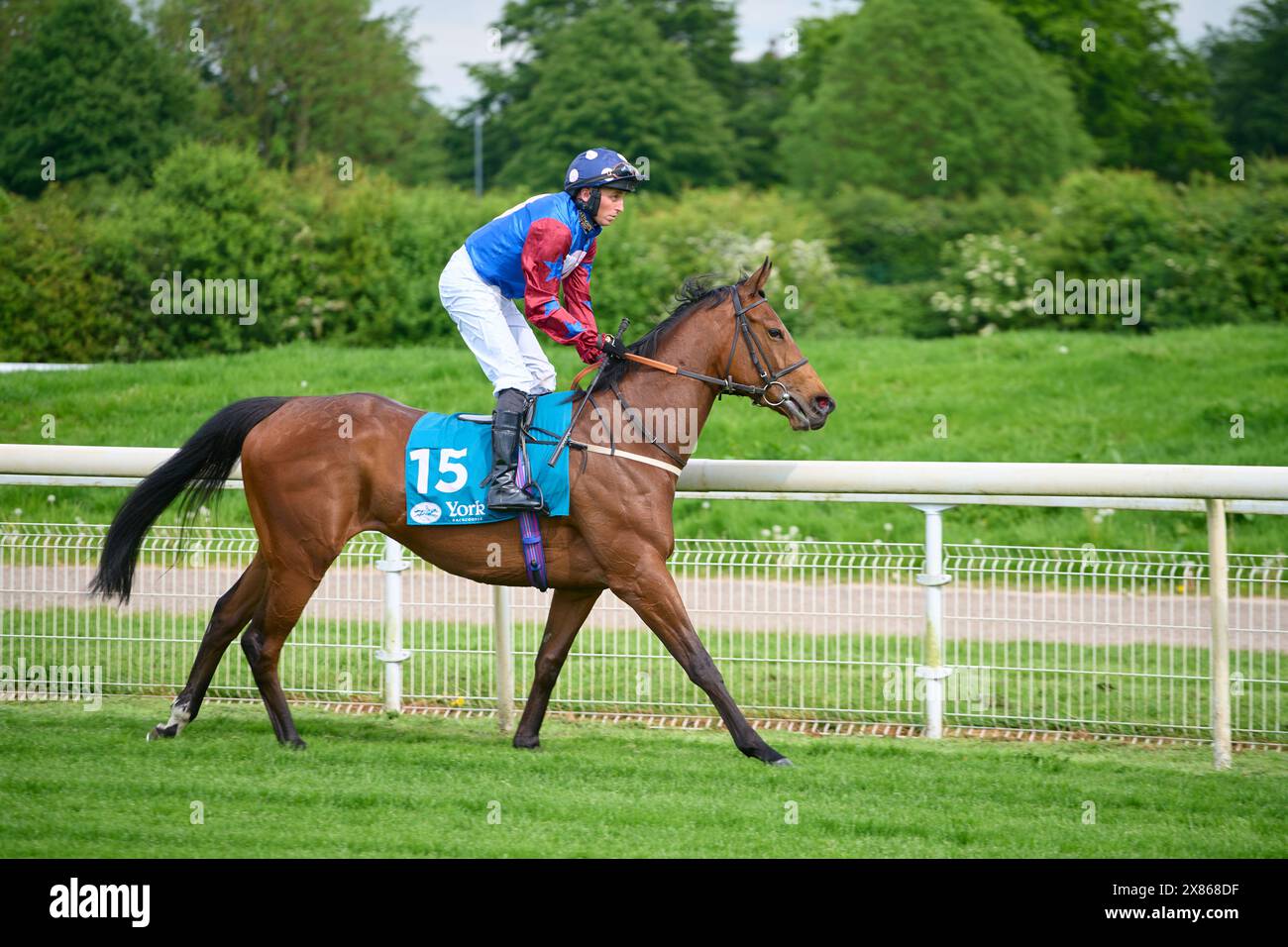 Duran fentiman hi-res stock photography and images - Alamy