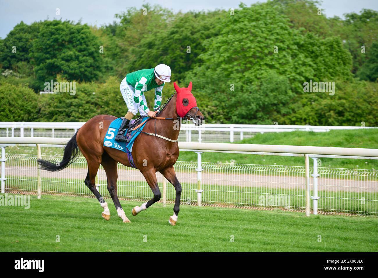 Jockey Shane Foley on Respectful Stock Photo - Alamy