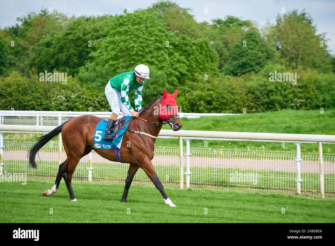 Jockey shane foley on hi-res stock photography and images - Alamy