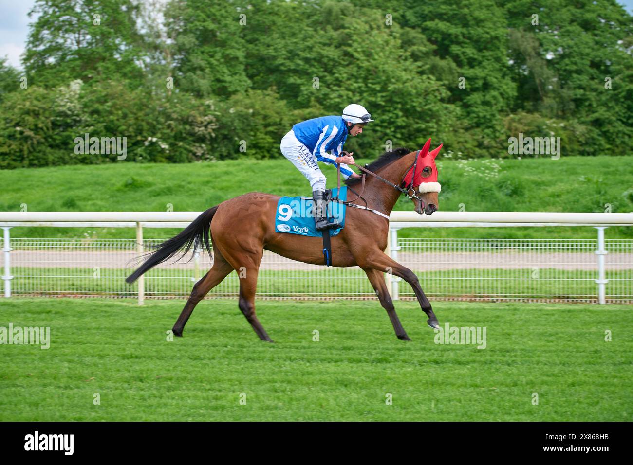 Ryan moore jockey 2024 hi-res stock photography and images - Alamy