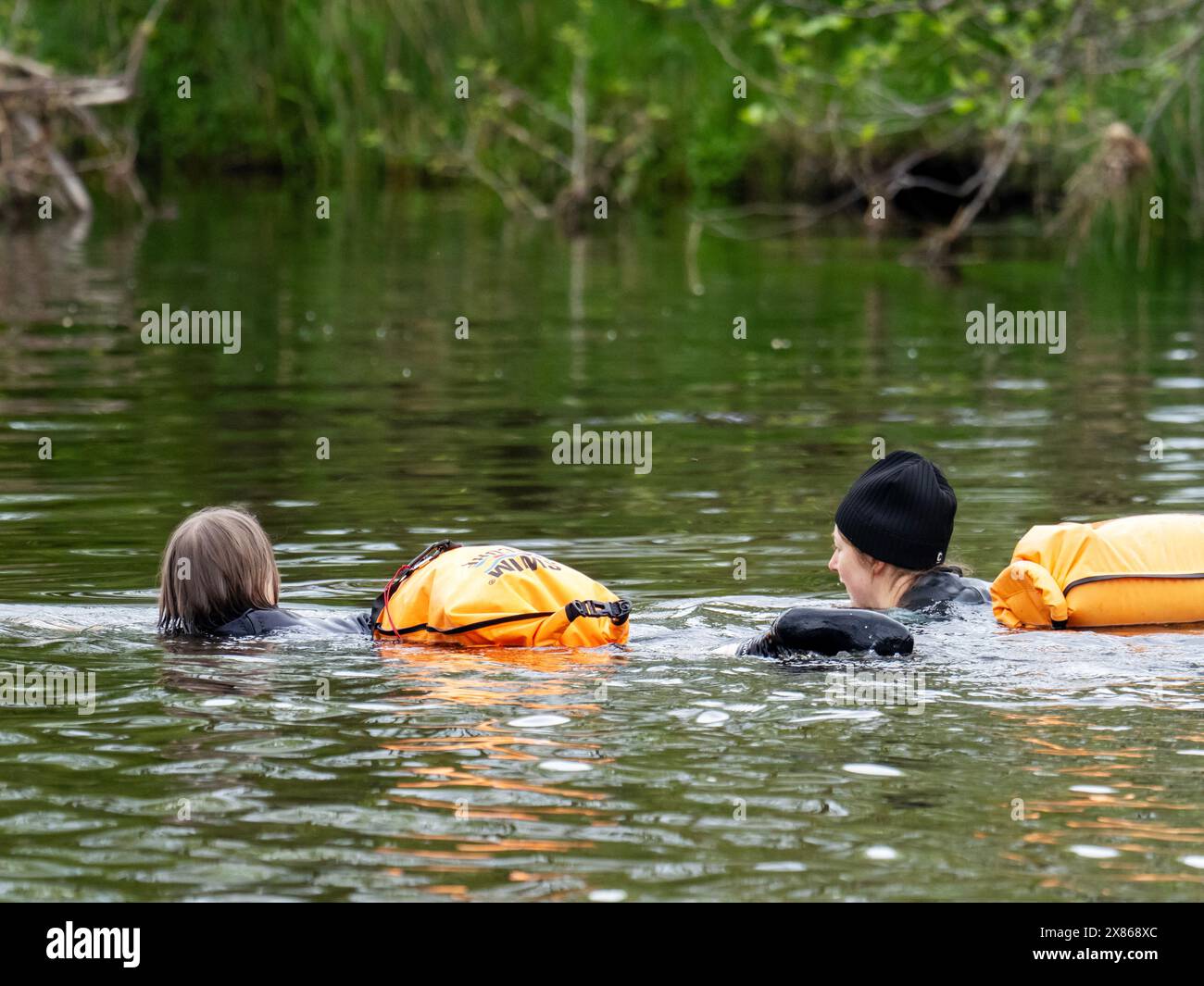 Women swimming in the River Brathay in Ambleside, Lake District, UK ...
