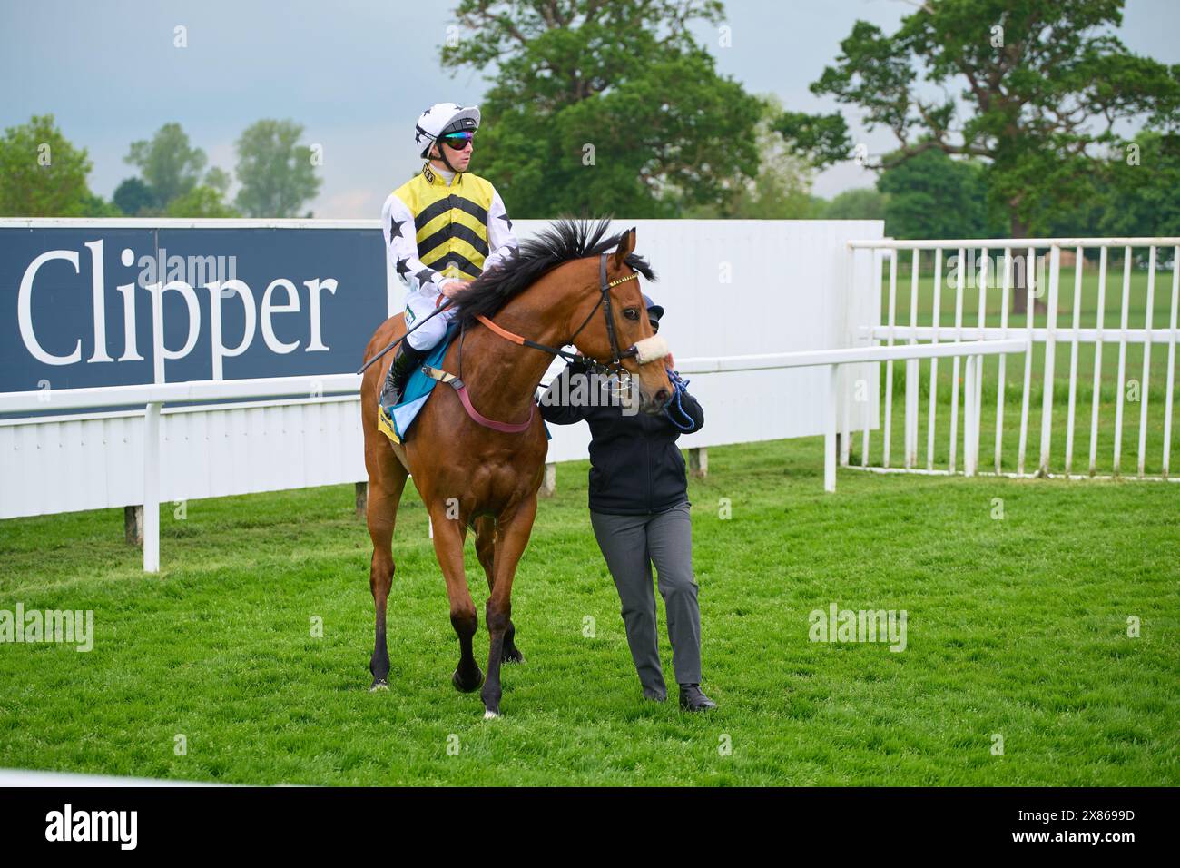 Jockey Connor Beasley on Dakota Gold at York Racecourse Stock Photo - Alamy