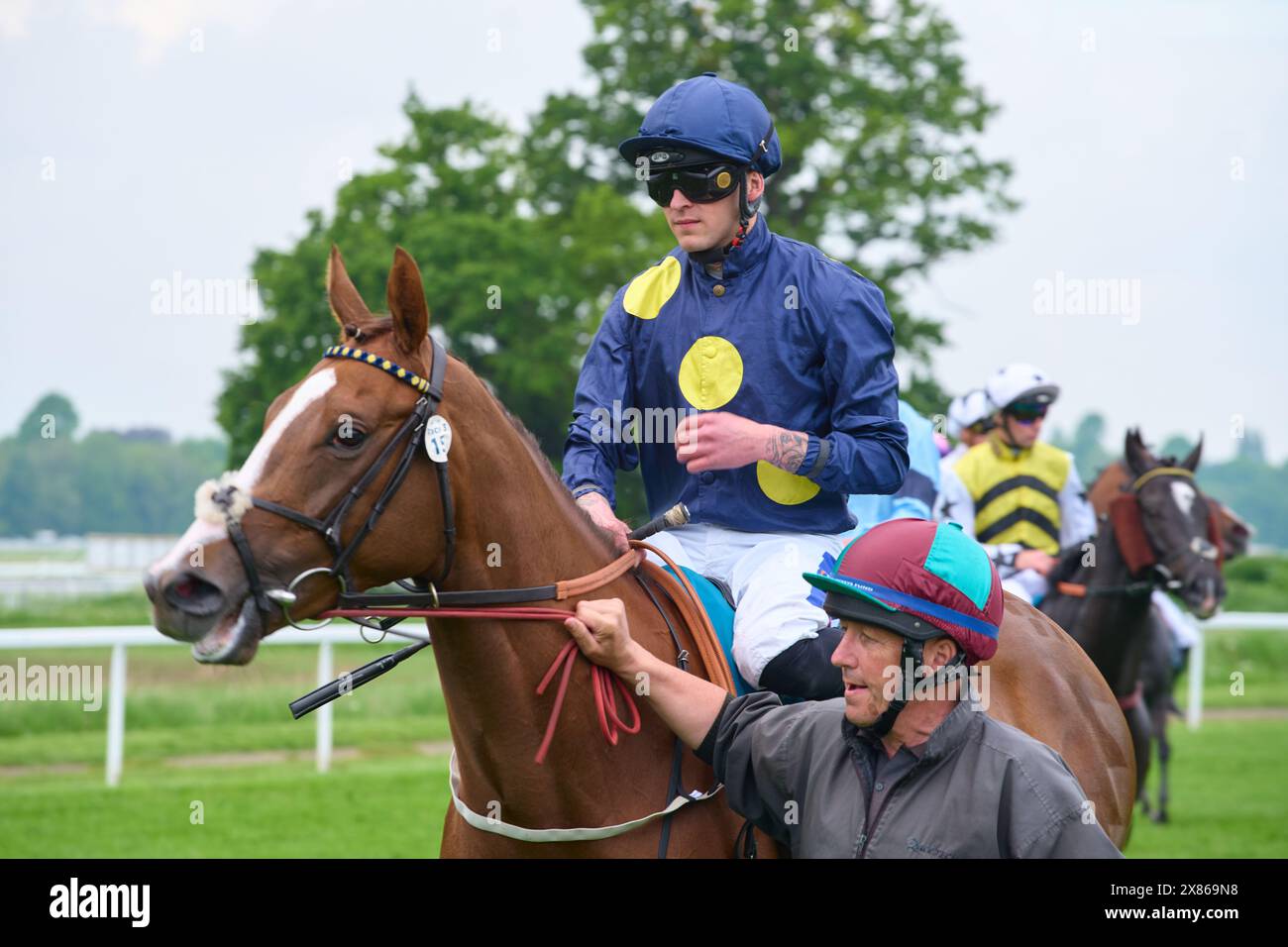 Swingalong york racecourse hi-res stock photography and images - Alamy