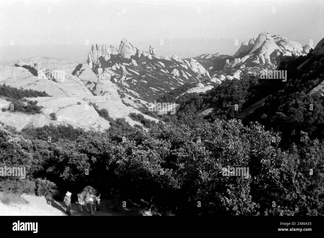 Gorra mariner hi-res stock photography and images - Alamy