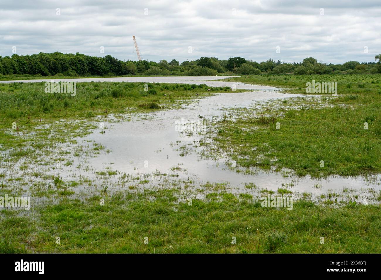 Dorney, UK. 23rd May, 2024. Flooding on Dorney Common in ...
