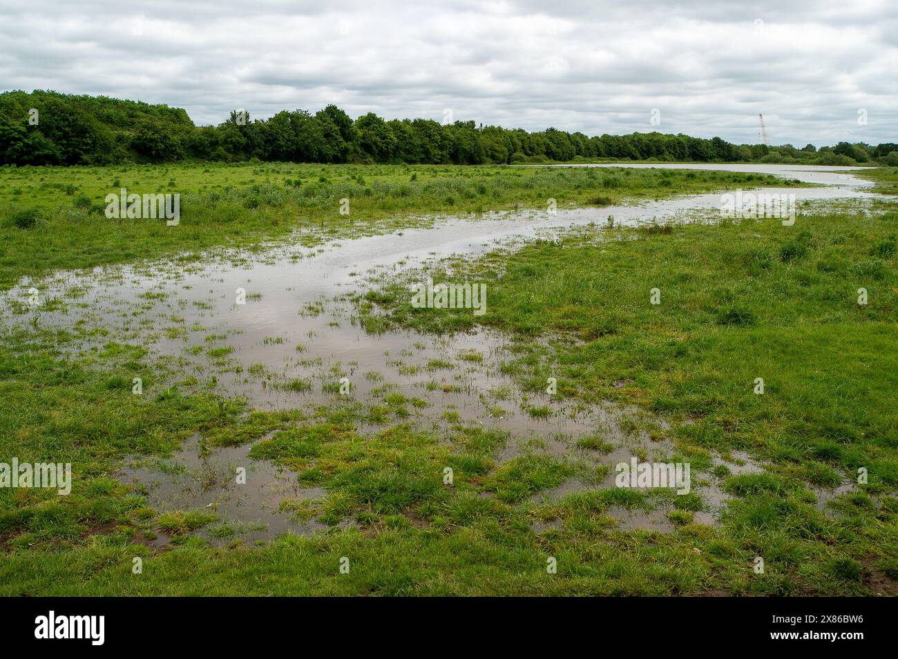 Dorney, UK. 23rd May, 2024. Flooding on Dorney Common in ...