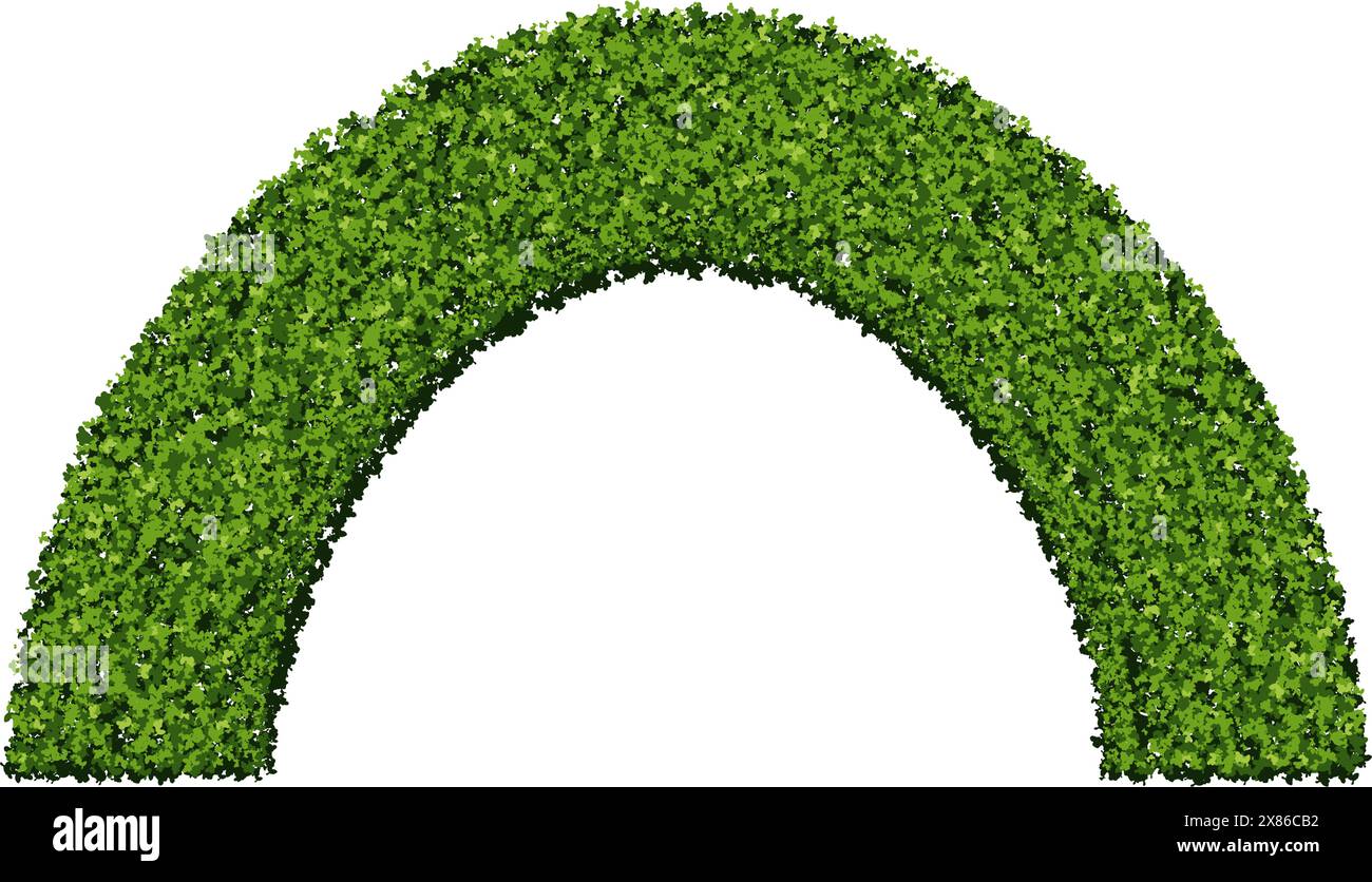 Green round arch hedge made of boxwood bushes isolated on white ...