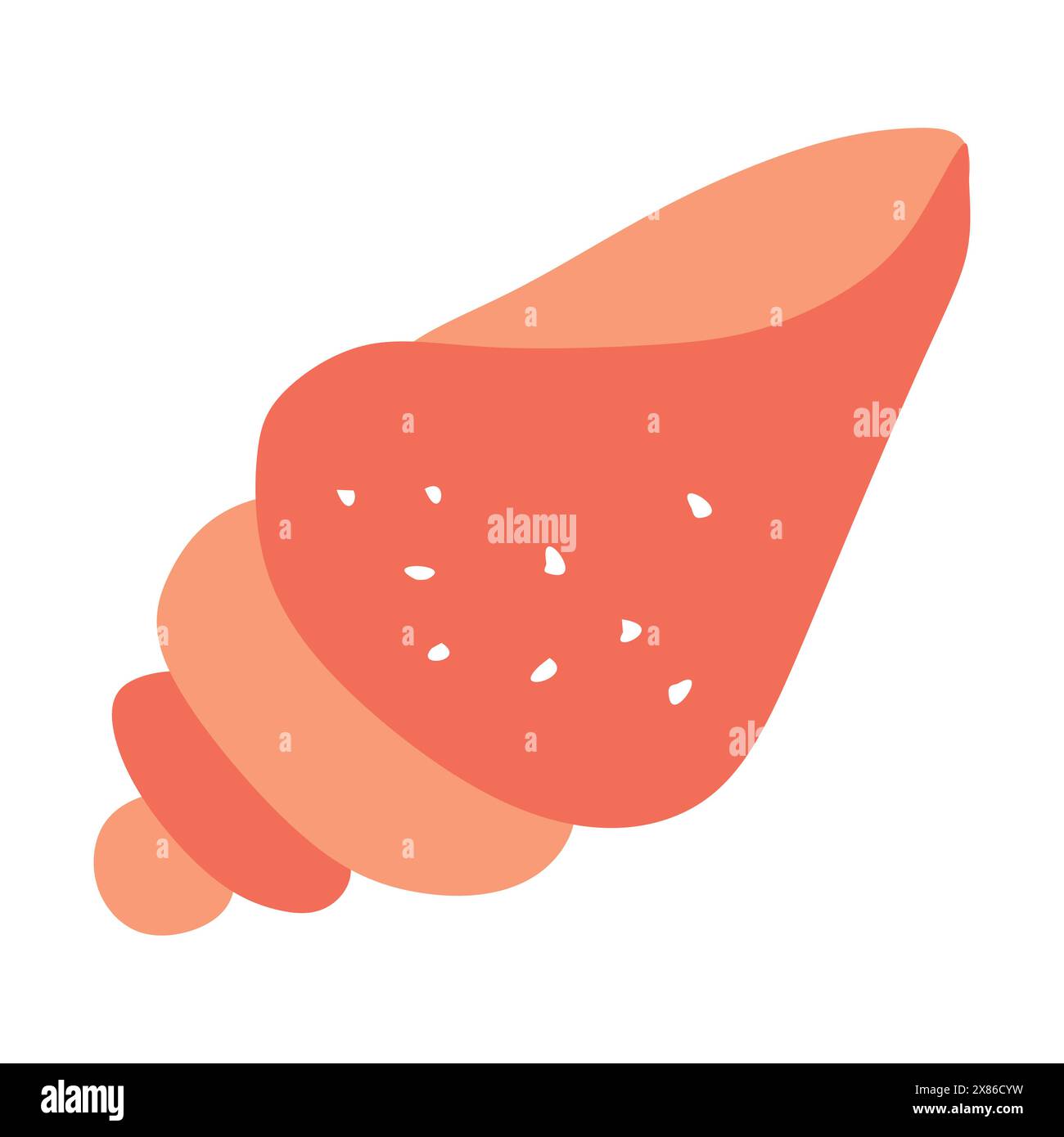 Red Sea shell on white background. Flat vector Isolated illustration ...