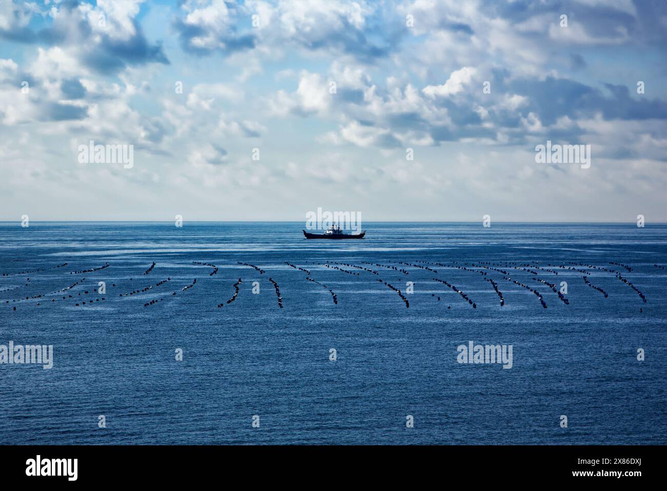 Marine landscape with mussel farm, coastal view Stock Photo - Alamy