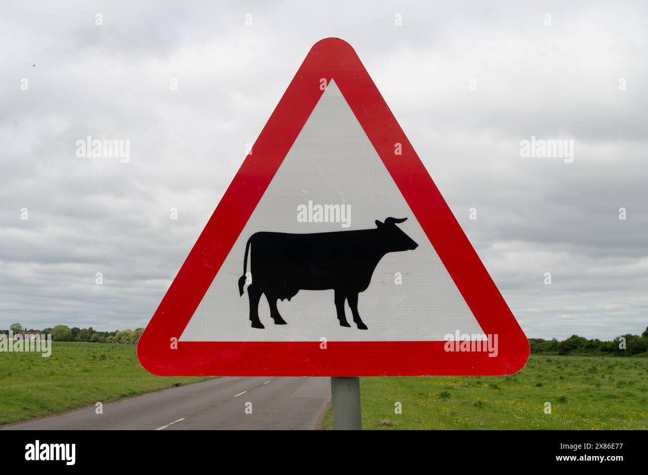 Sign warning drivers cows hi-res stock photography and images - Alamy