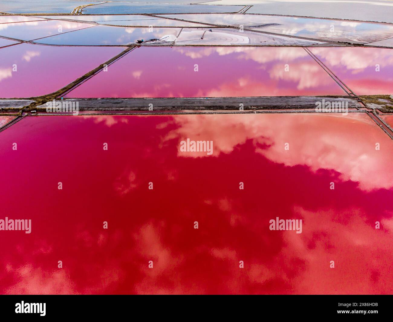 Burgas Salt Lakes. The red-rose salt water the place for unique and ...