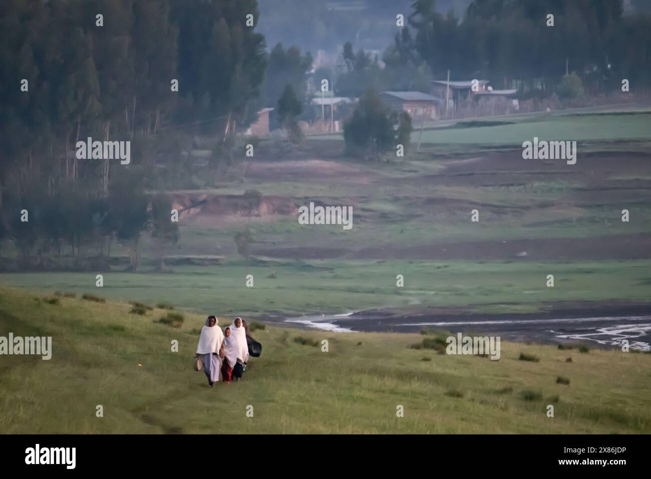 Beautiful morning view on Ethiopian landscape and nature, with ...