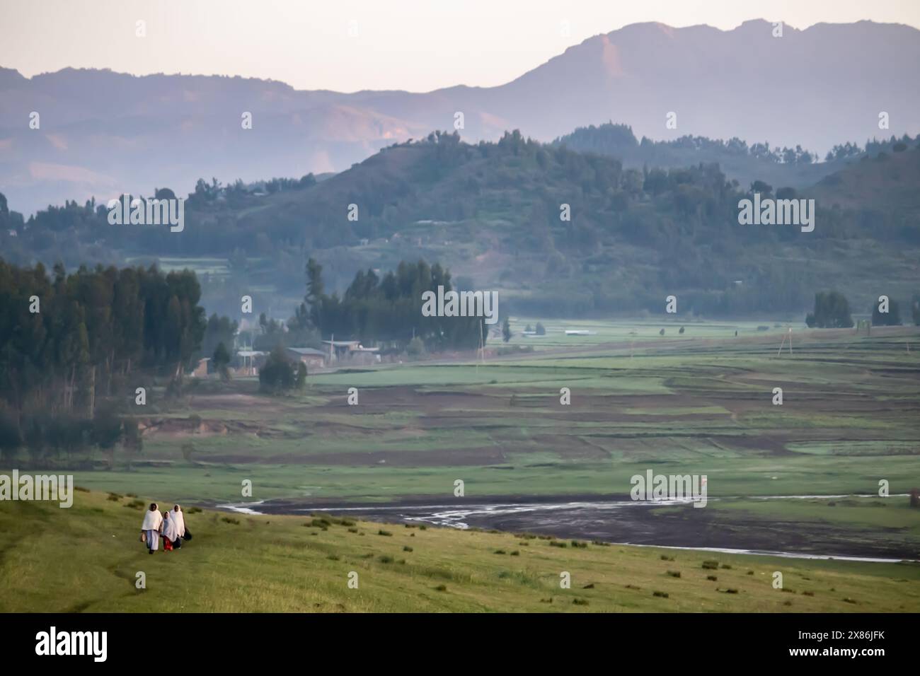 Beautiful morning view on Ethiopian landscape and nature, with ...