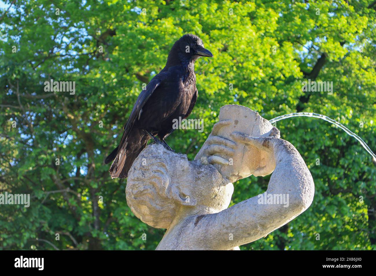 Raven statue hi-res stock photography and images - Alamy