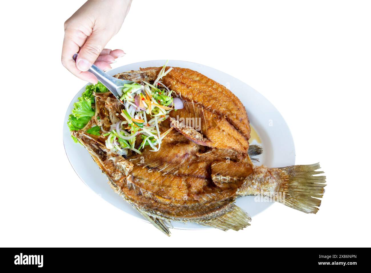 Die cut of hand with deep-fried Sea bass with Fish Sauce on white ...