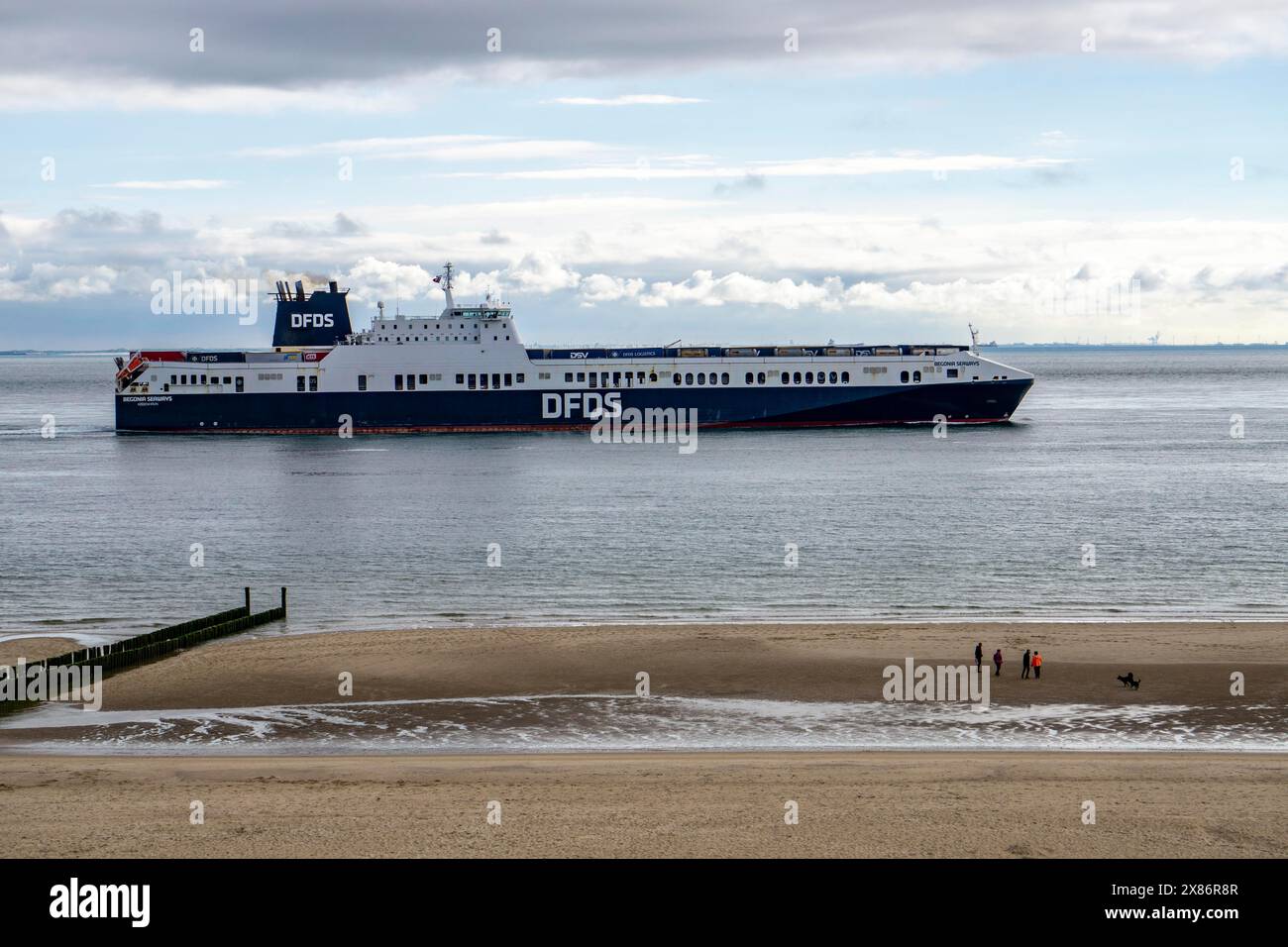 The DFDS cargo ferry Begonia Seaways, loaded with truck trailers and ...
