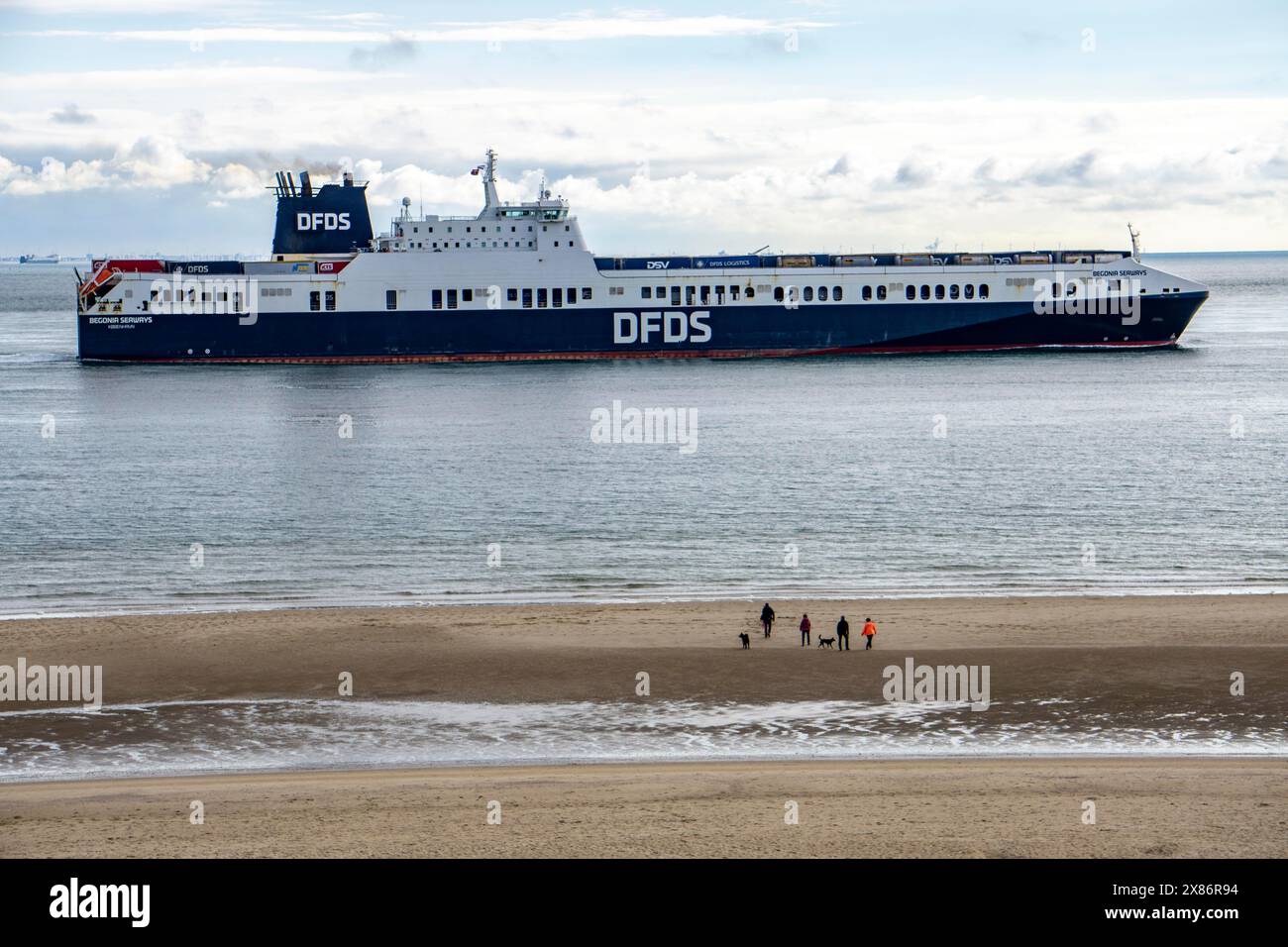 The DFDS cargo ferry Begonia Seaways, loaded with truck trailers and ...