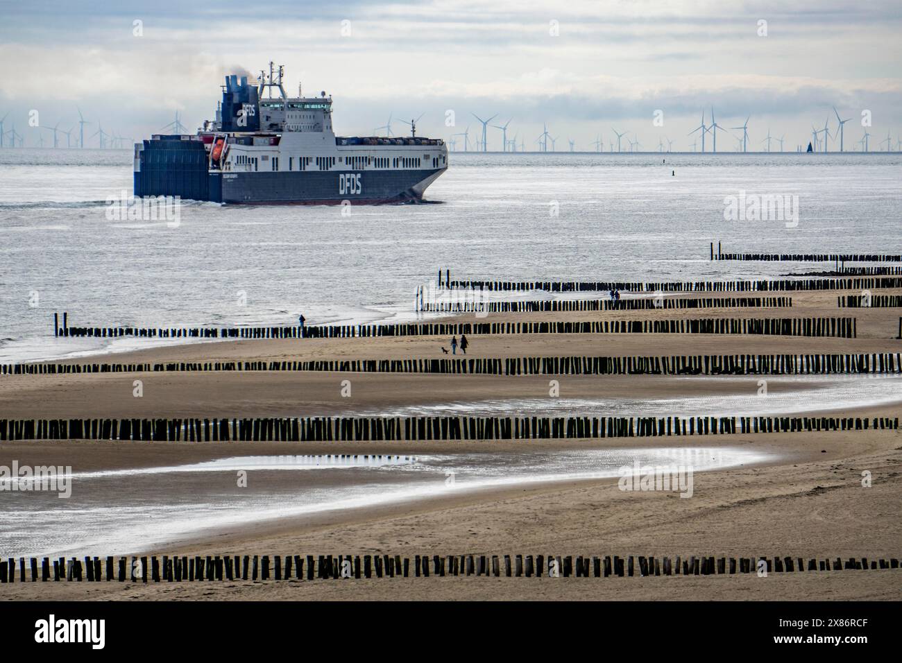 The DFDS cargo ferry Begonia Seaways, loaded with a truck trailer and ...