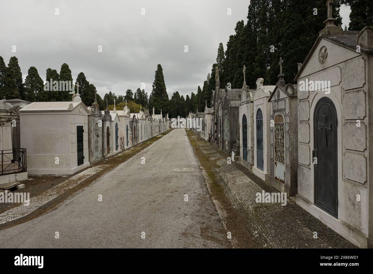 Street of an old mysterious and peaceful european cemetery Stock Photo ...