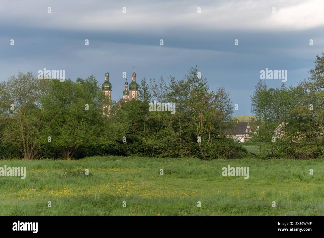 The baroque Saint-Maurice church in Ebersmunster surrounded by meadows ...