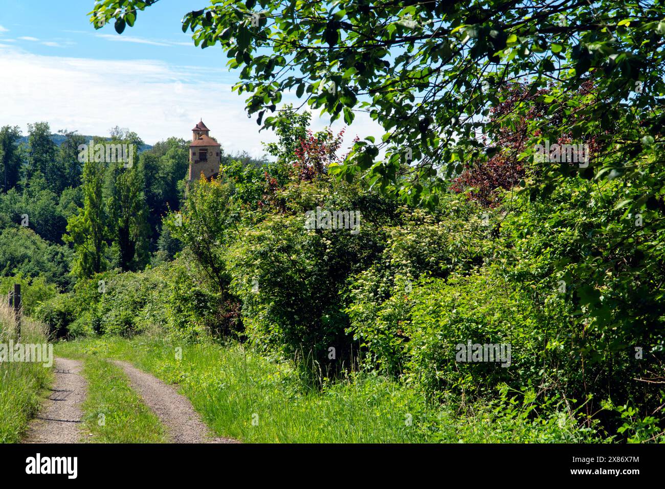 Switzerland, Baselland, Baselbiet, Birseck, Reichenstein, Reichenstein ...