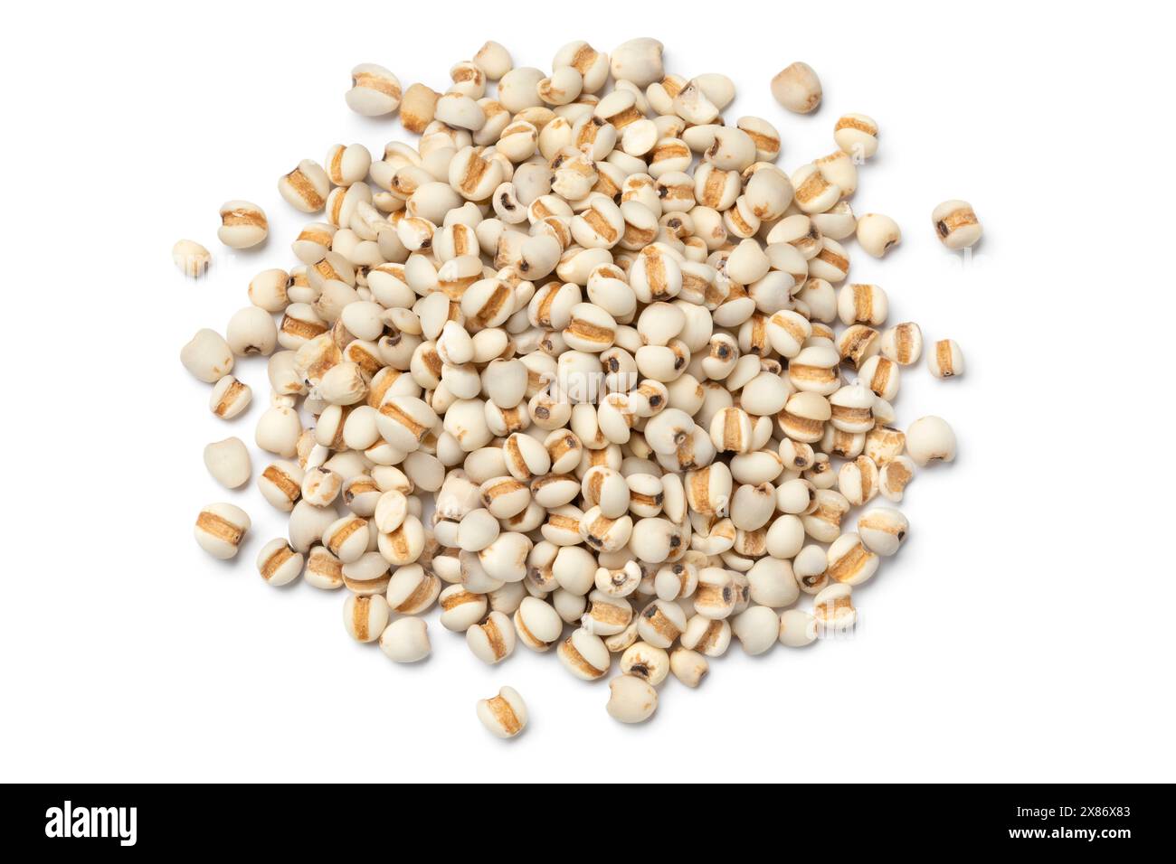 Heap of Chinese pearl barley close up isolated on white background ...