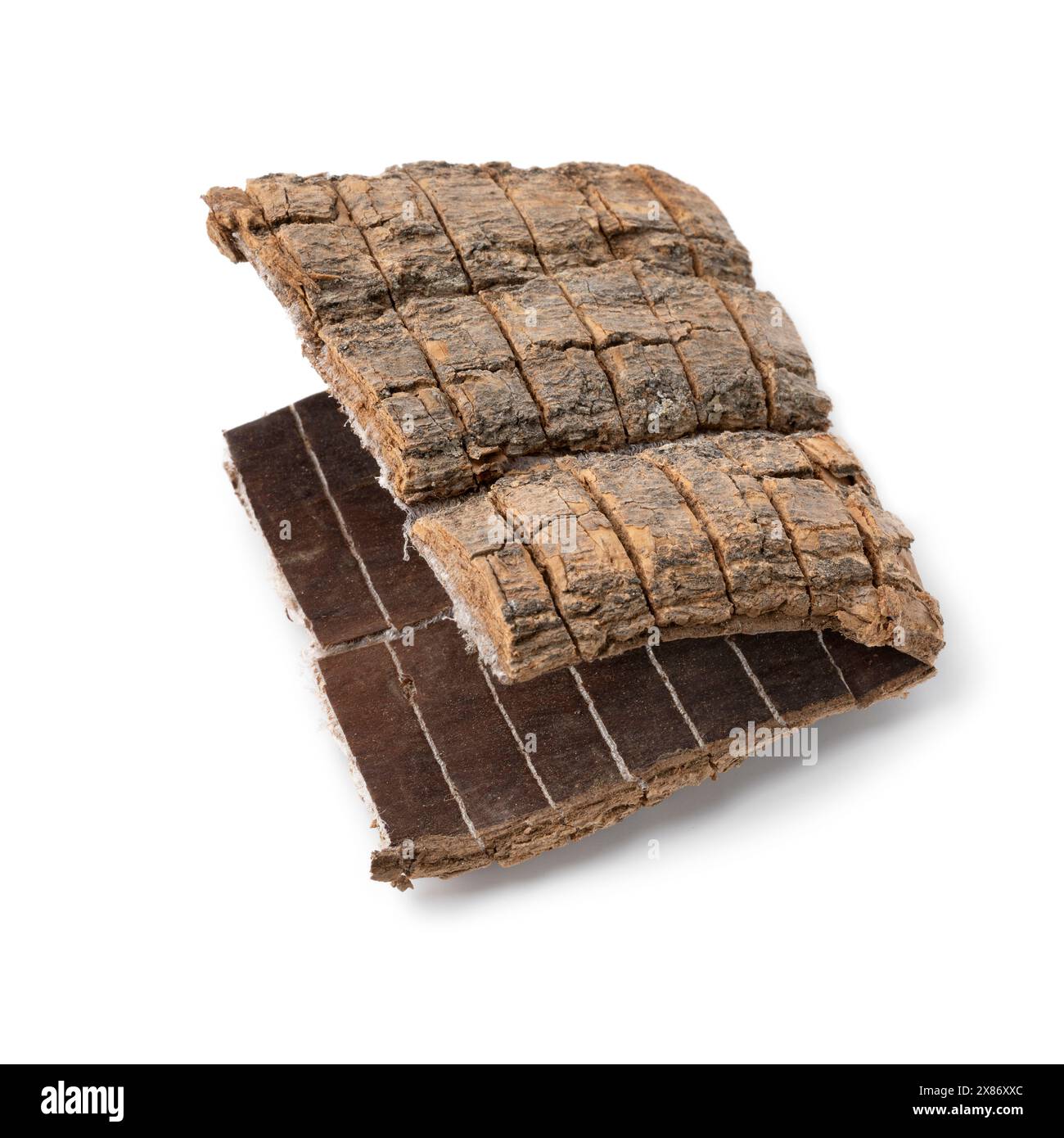 Dried Eucommia ulmoides bark close up isolated on white background ...