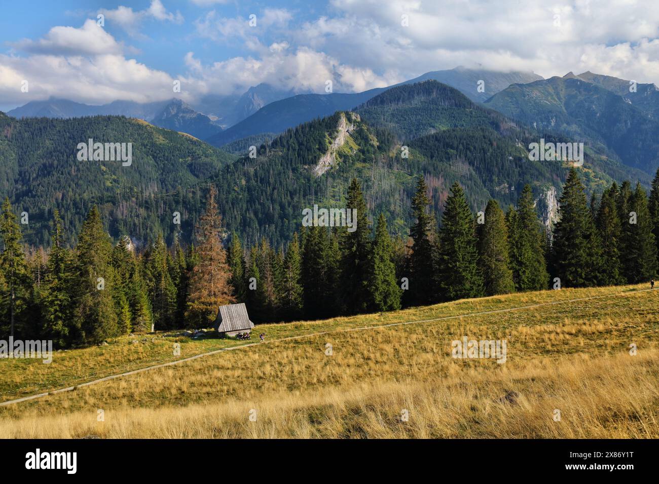 Tatra mountains in Poland. Mountain view from Rusinowa Polana ...
