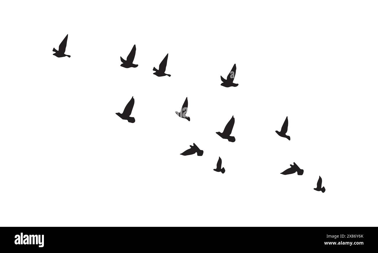Flying Birds Vector And Illustration Stock Vector Image & Art - Alamy