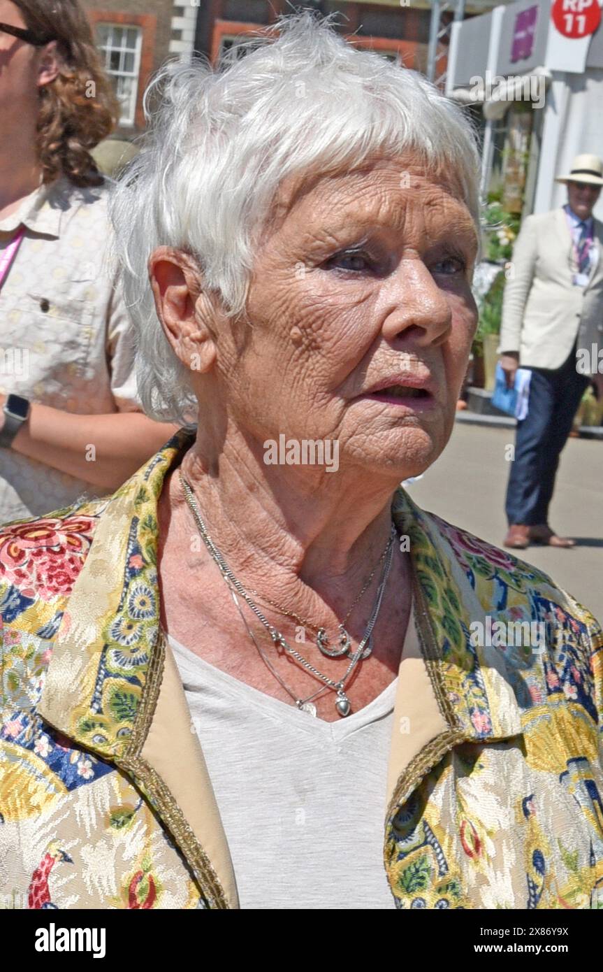 20 May 2024. London, UK. Dame Judi Dench at the 2024 RHS Chelsea Flower ...