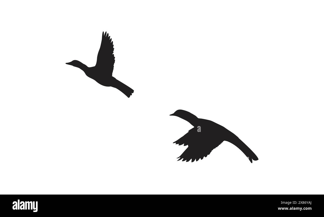 Flying Birds Vector And Illustration Stock Vector Image & Art - Alamy