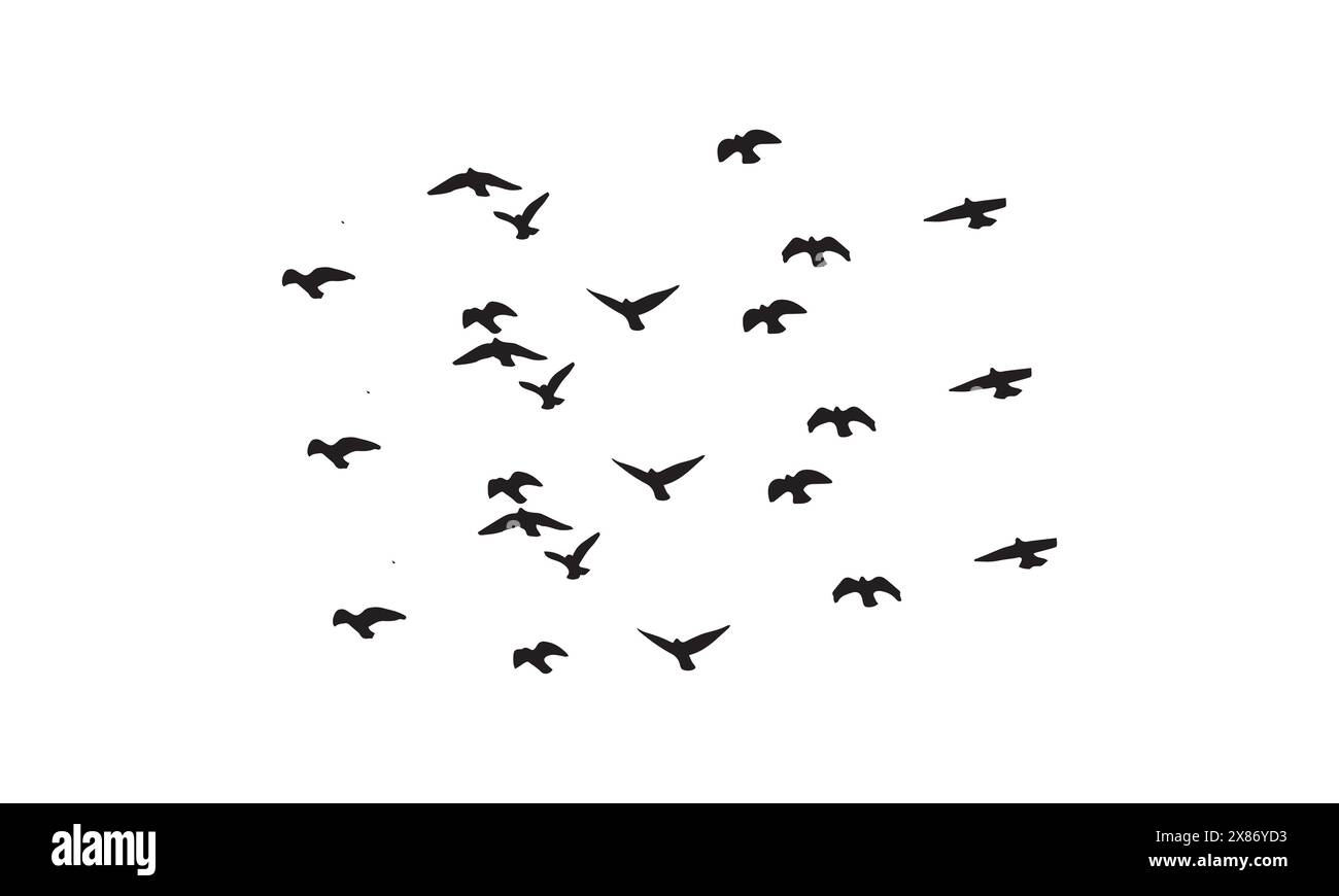 Flying pigeon vector illustration Stock Vector Images - Alamy