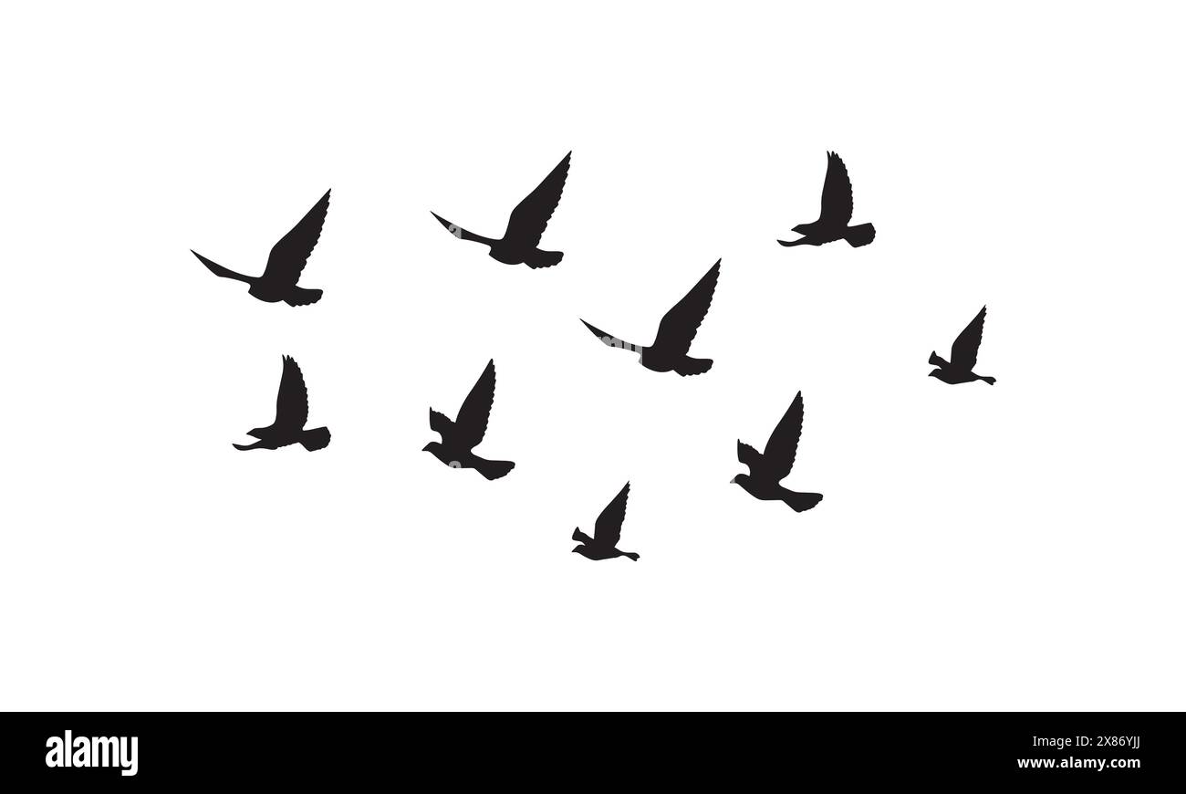 Flying Birds Vector And Illustration Stock Vector Image & Art - Alamy