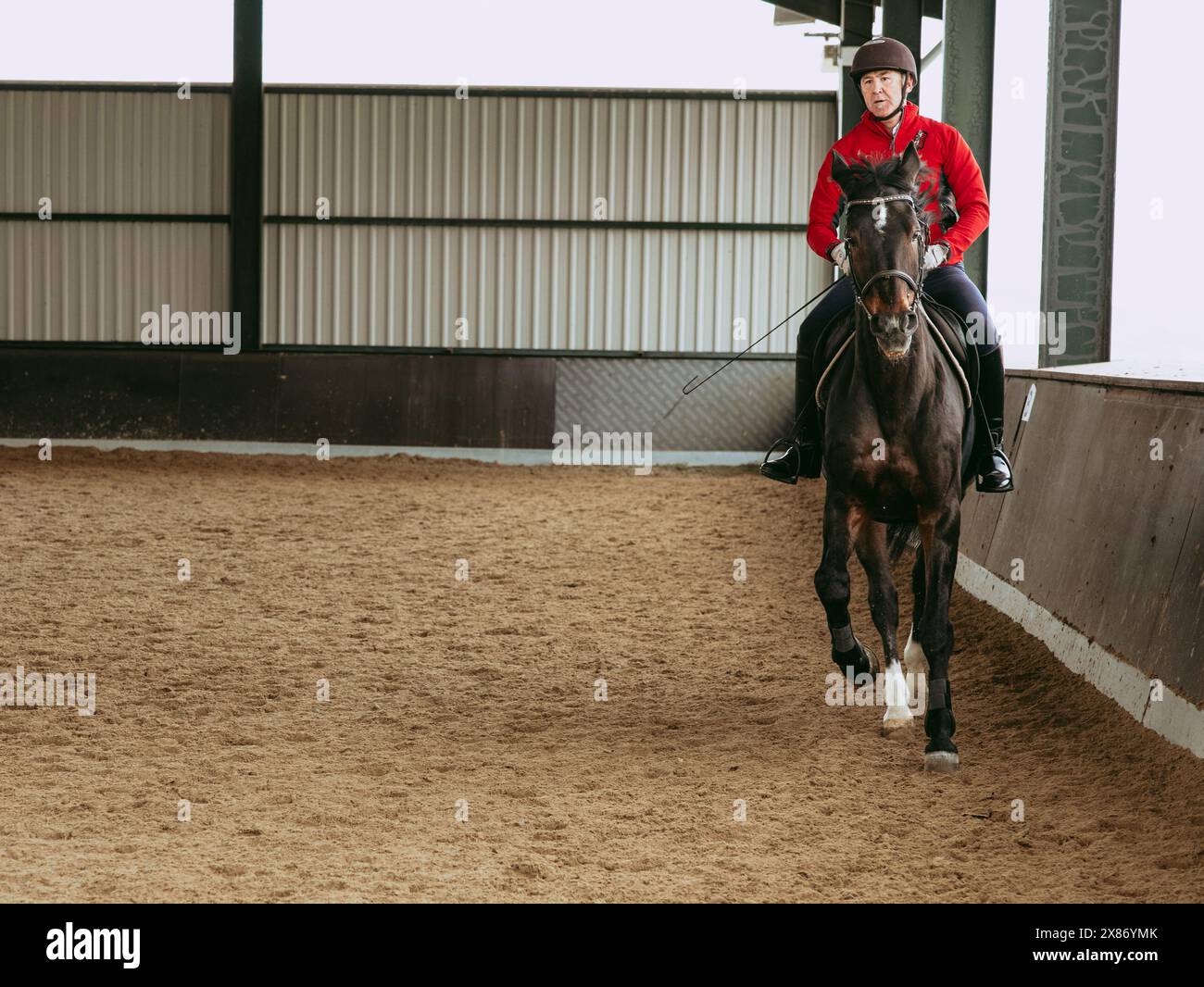 A rider in a red jacket and helmet rides his horse in the arena of an ...