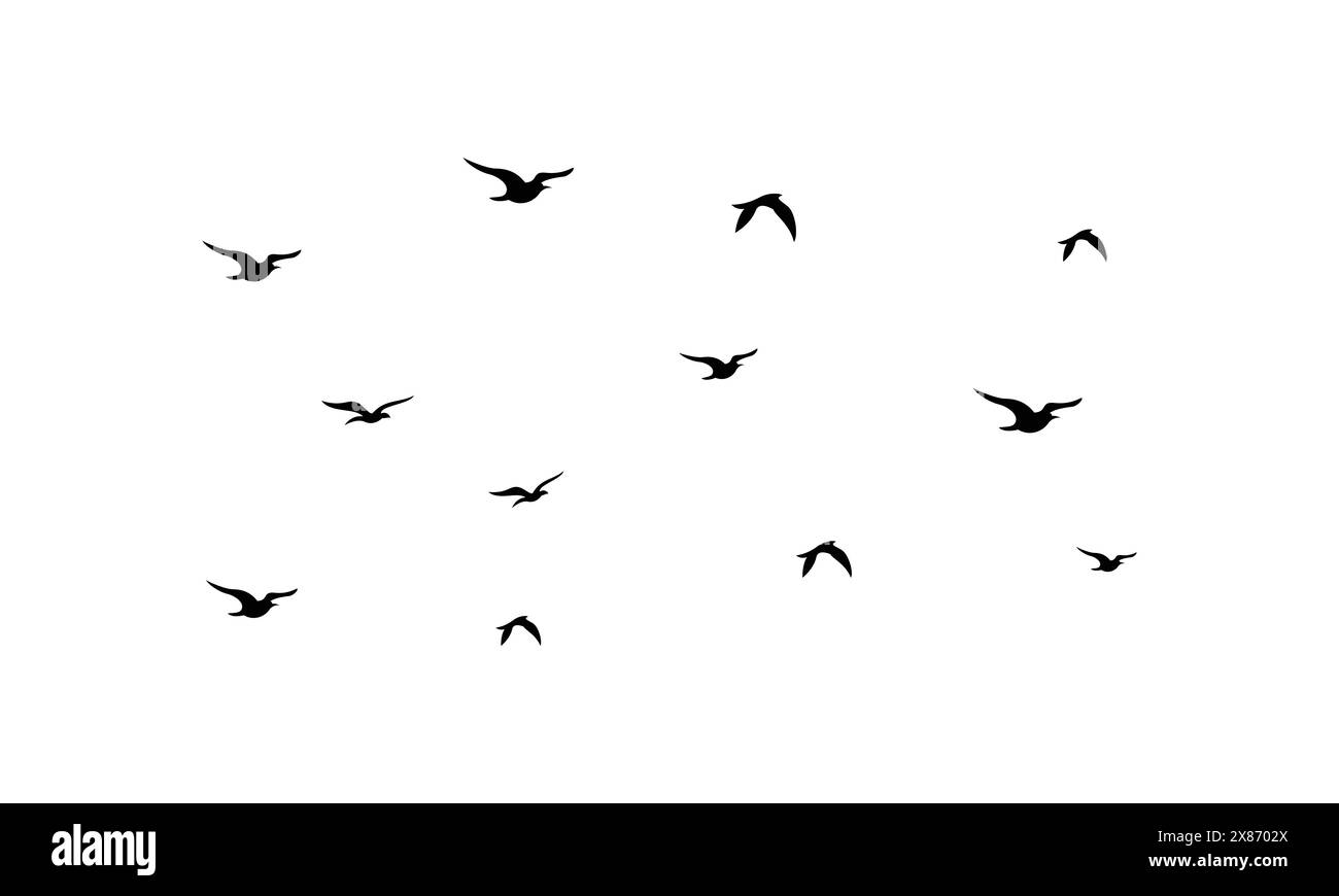 Flying pigeon vector illustration Stock Vector Images - Alamy