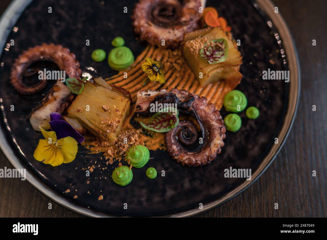 Calamari fish sea edible squid hi-res stock photography and images - Alamy