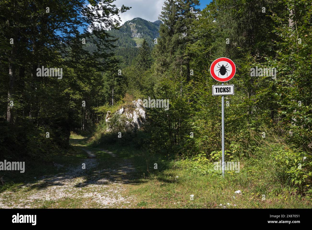 Warning sign for tick infected forest. Danger of lyme and tick borne ...