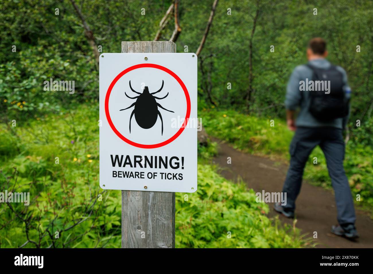 Tick Infected area with danger sign. Risk of tick-borne and lyme ...