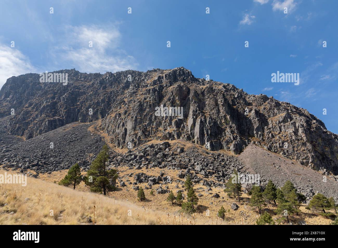 Rocky mountain with Ocote trees (Pinus montezumae) at the base Stock ...