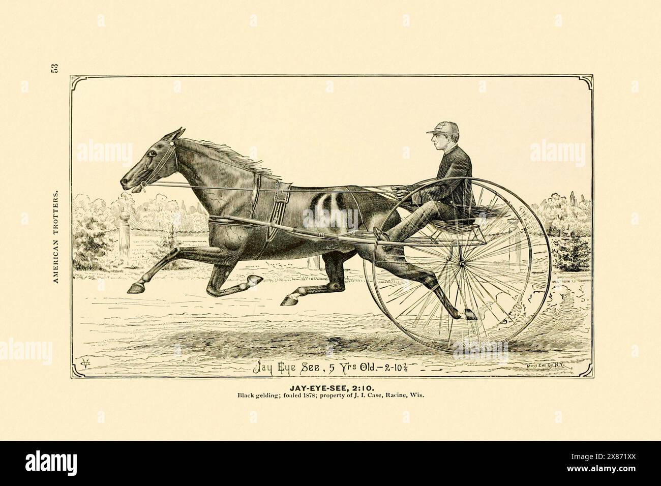 Horse illustration. Vintage Ink drawing on a beige background. Circa ...