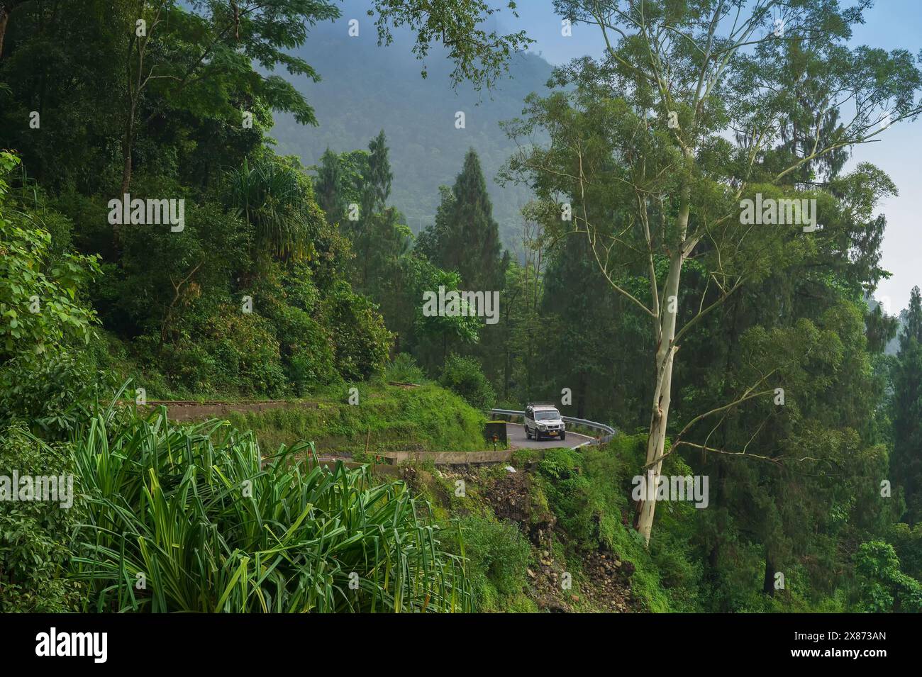 Himalayan mountains and lush green forest. Scenic natural beauty of ...