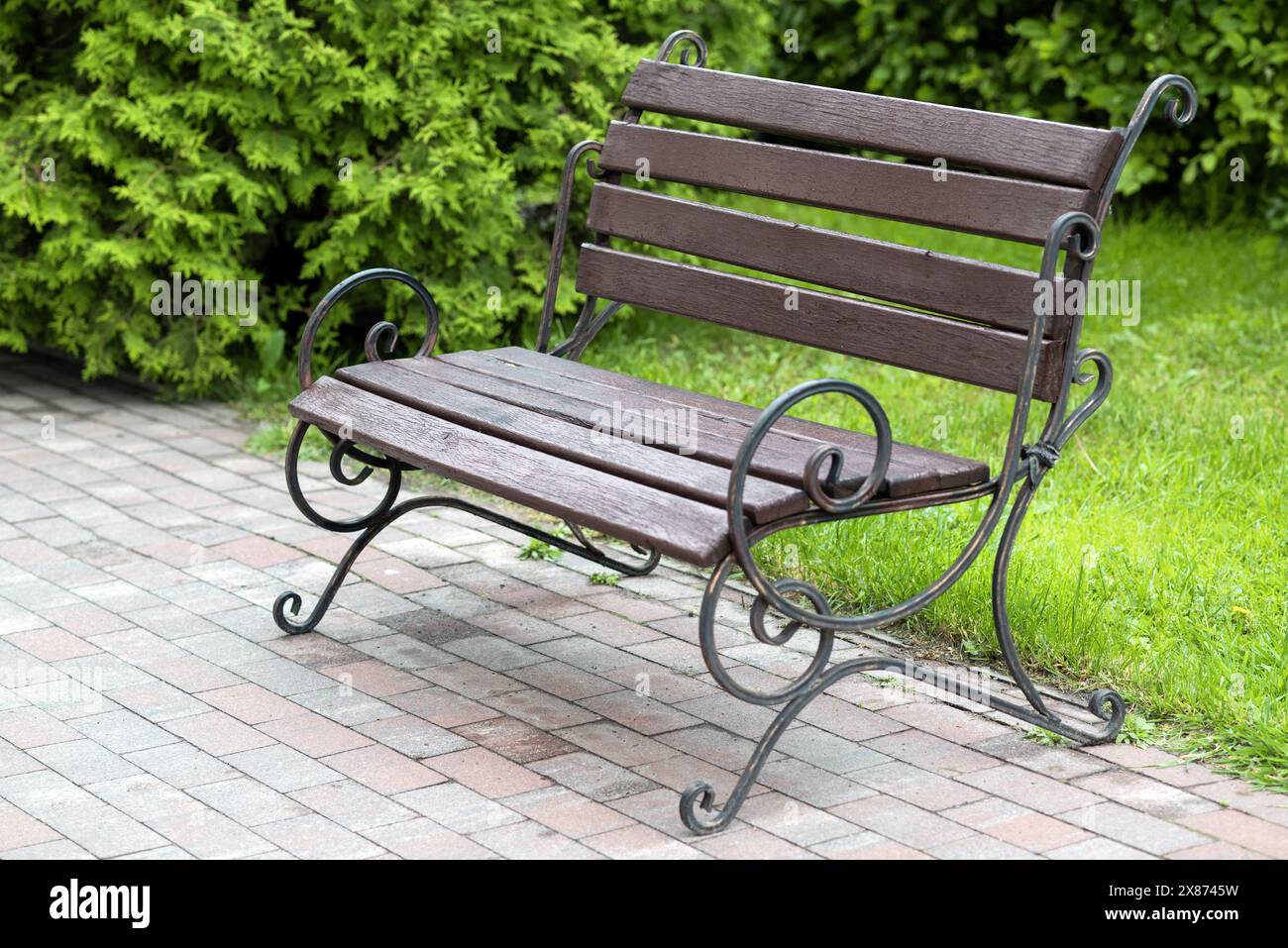 Empty bench in park sunset hi-res stock photography and images - Alamy