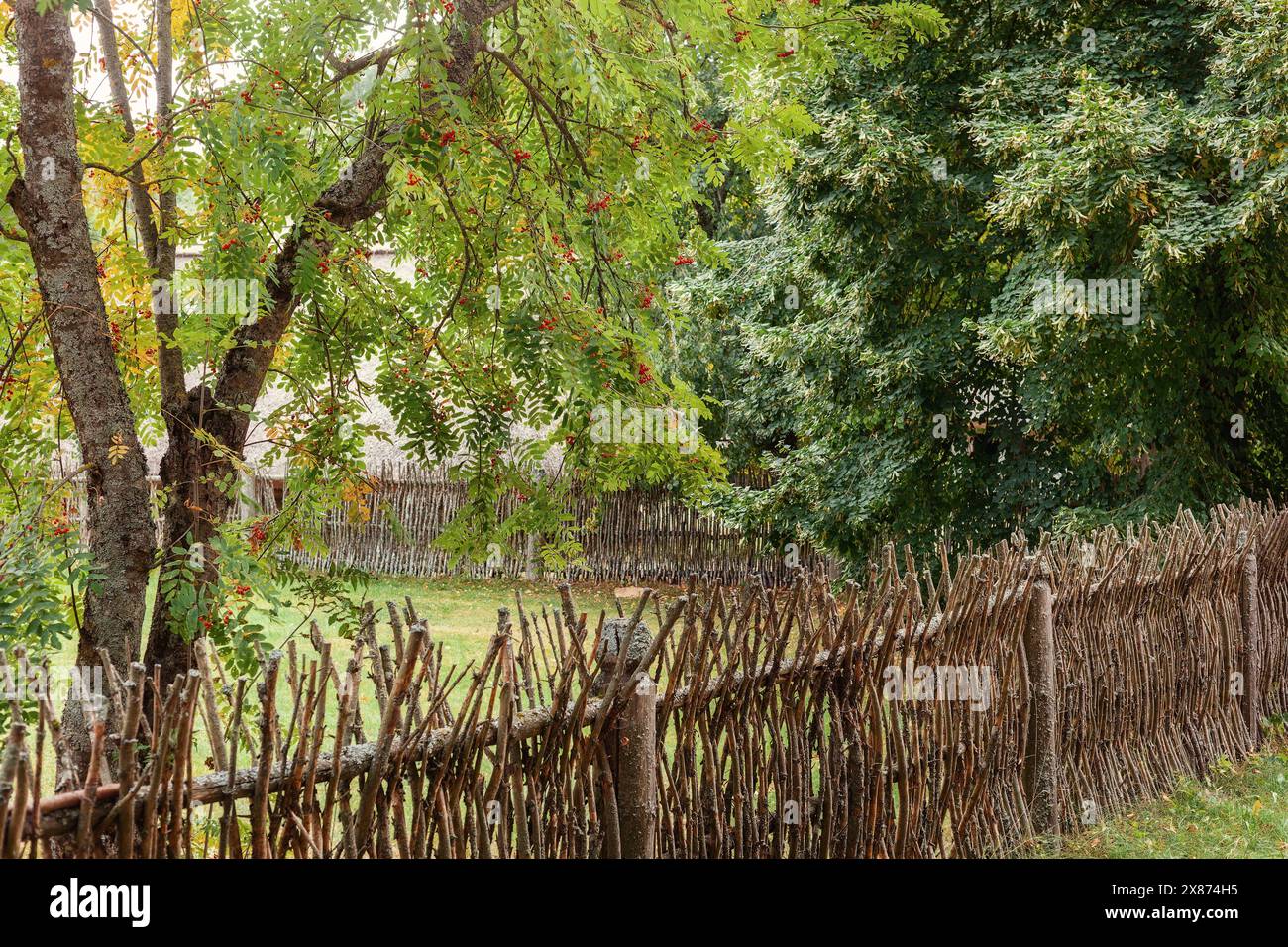 A view of the courtyard of an ancient Lithuanian homestead with a ...